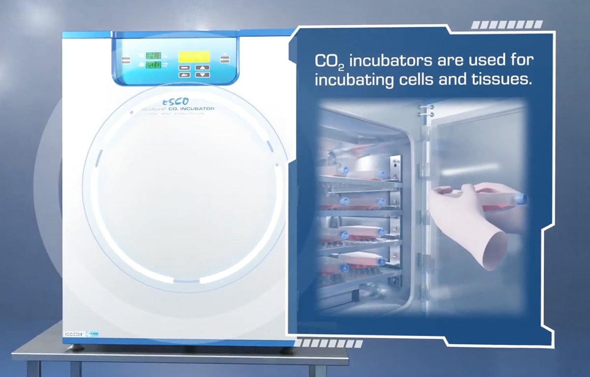 如何安装和维护Esco生命科学公司的CO₂恒温箱狗万官网在哪里找 - manbetx纯净版,万博max手机版下载
